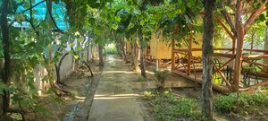 Фархад Чайхона (Kashkadarya Region, Nishan District), kafe  Kaşkaderya eyaletinden