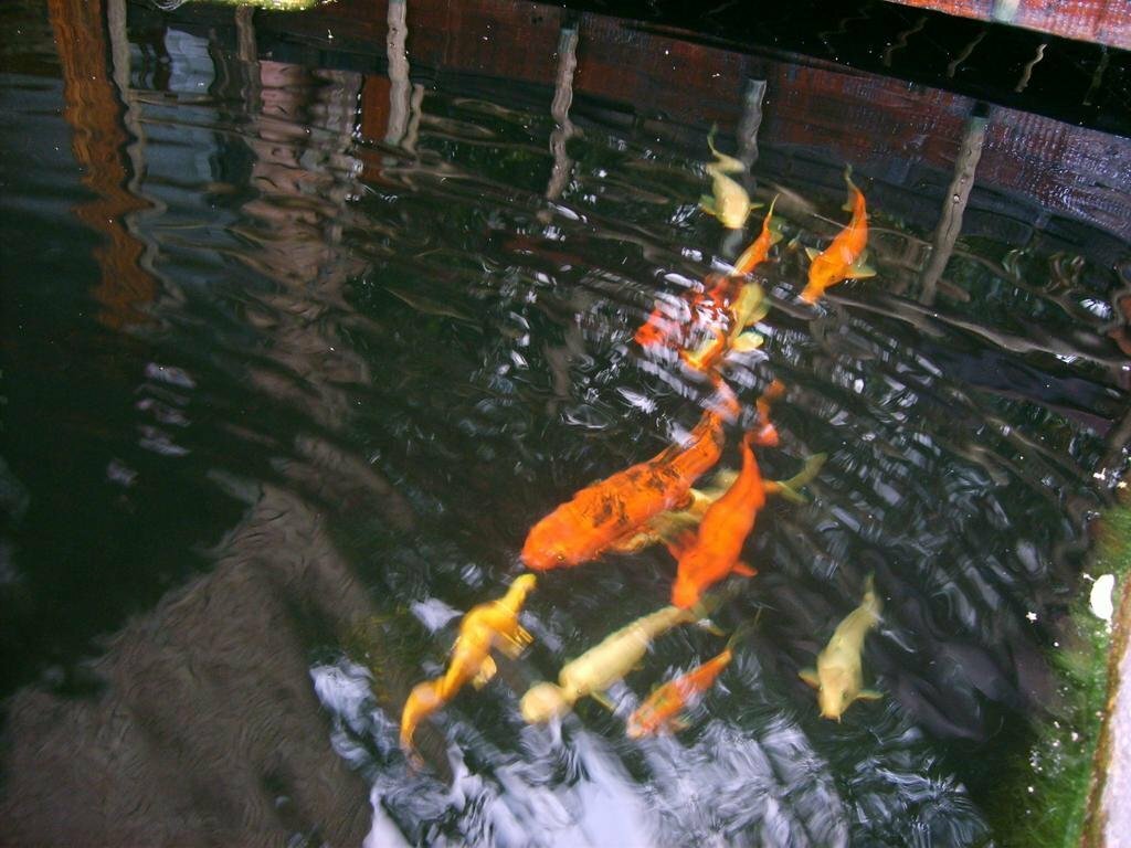 Otel 52 Bracelet, Mbombela, foto