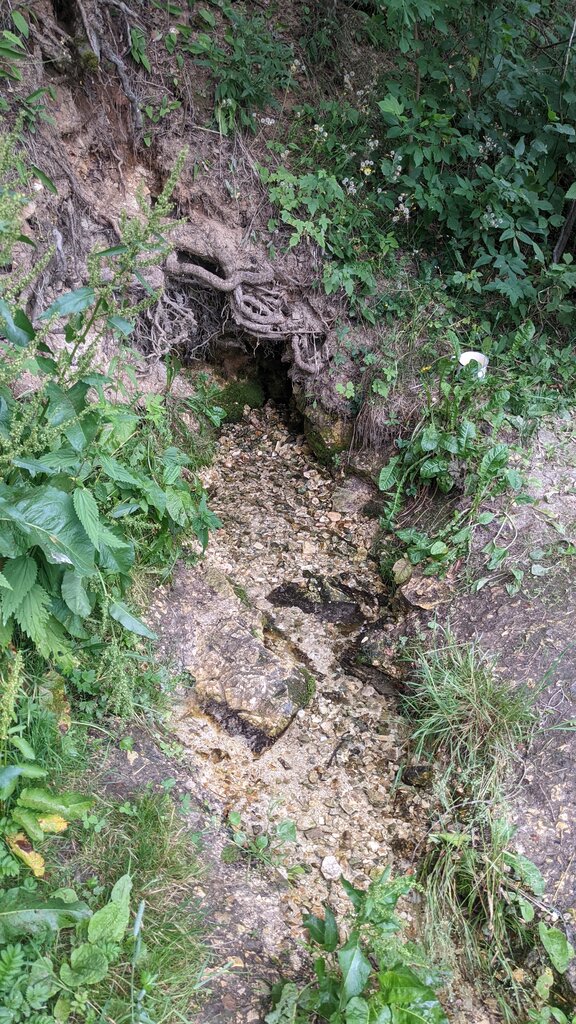 Pınar, çay Spring, stream, Moskova ve Moskovskaya oblastı, foto