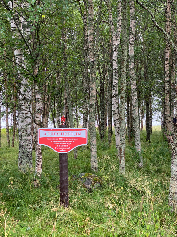 Kültür ve eğlence parkları аллея Победы, Karelya, foto