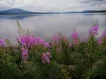 Плотина на озере Зюраткуль (Chelyabinsk Region, Satkinskiy munitsipalny okrug, natsionalny park Zyuratkul), mühendislik altyapısı  Çeliabinskaya oblastından
