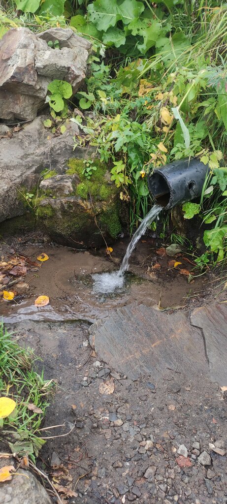 Pınar, çay Spring, stream, Troitsk, foto