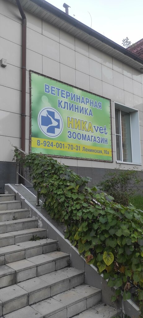 Veteriner klinikleri Ника vet, Nahodka, foto