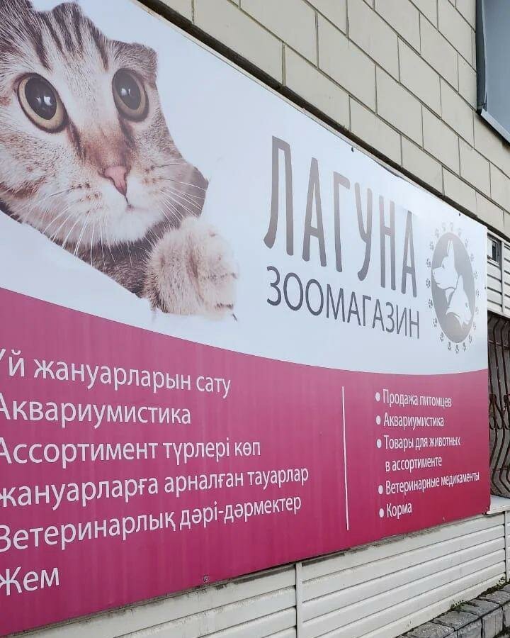 Petshop Laguna Pet store, Rudny, foto