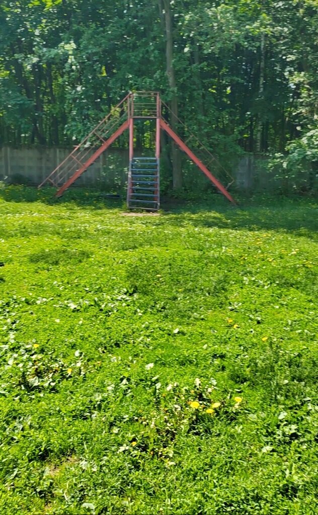 Köpek gezdirme alanları Площадка для выгула собак, Moskova, foto