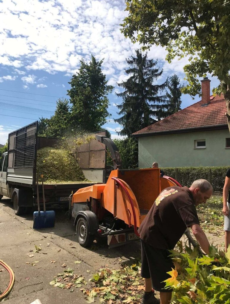 Bahçe ekipmanları ve teknolojileri Veszélyes fák kivágása-Fakivágás-Fagallyazás, Emelőkosaras autó, Telektisztítás, Pest, foto