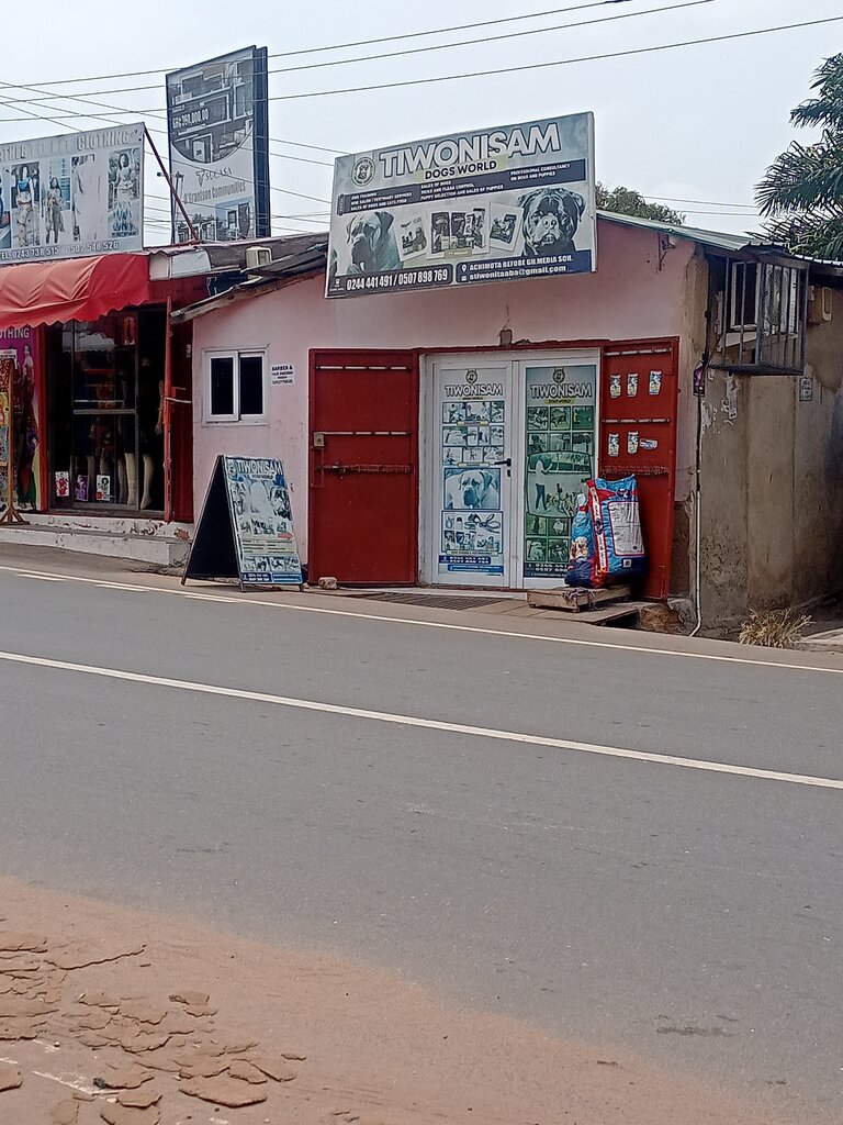 Petshop Tiwonisam dogs world, Akra, foto