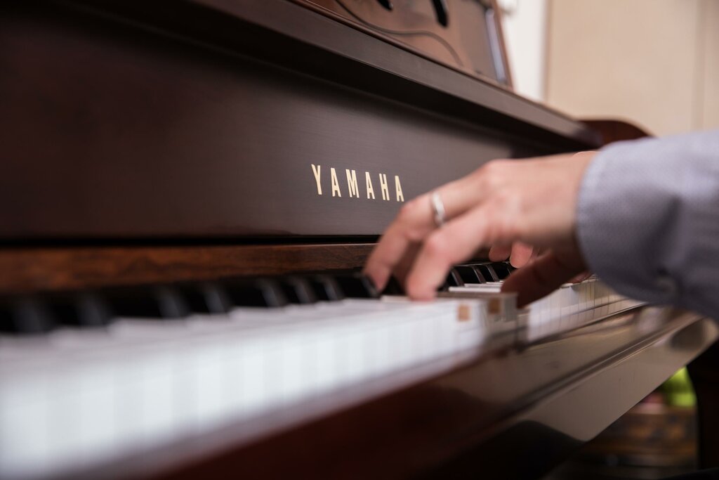Müzik enstrumanların tamiri Greene Music, Kaliforniya Eyaleti, foto