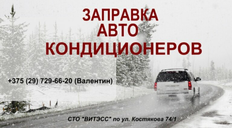 Otomobil servisi Vitess, Pruzhany, foto