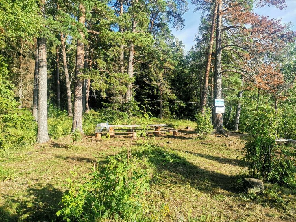 Kamp alanları Pozhnya-1 Camp, Karelya, foto