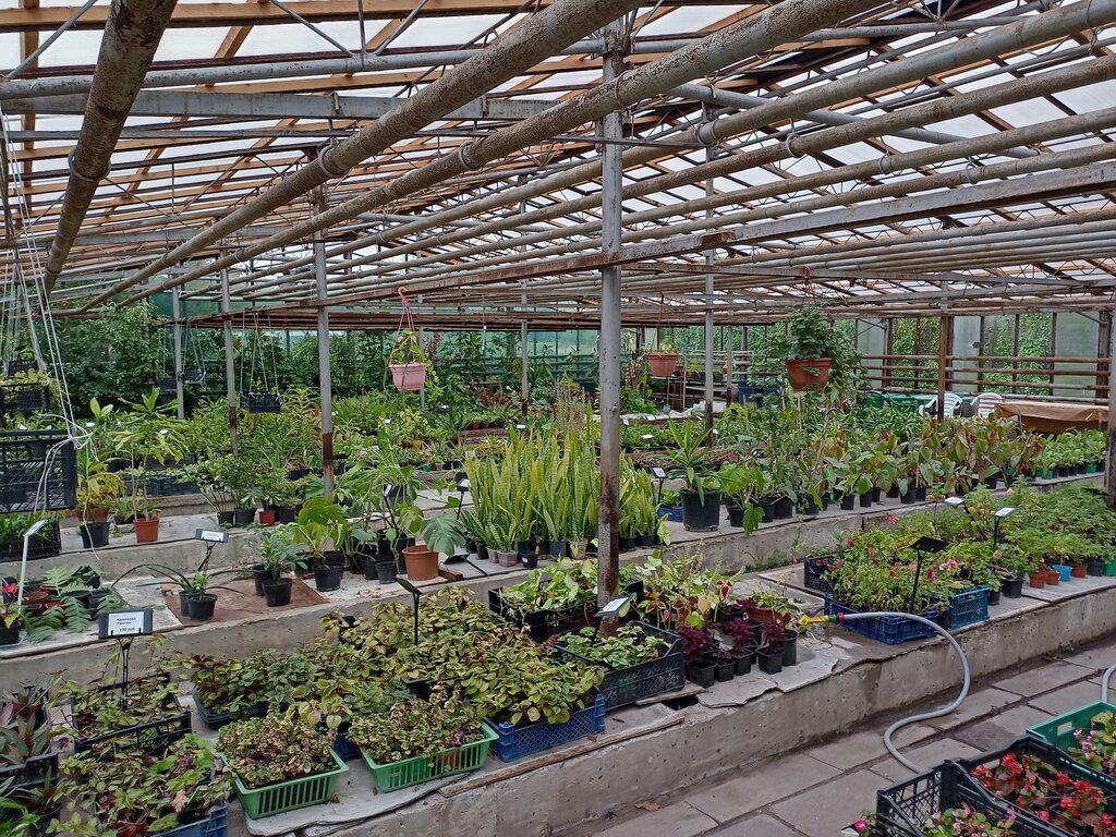 Çiçekçiler Салон-магазин растений Главного ботанического сада РАН, Moskova, foto