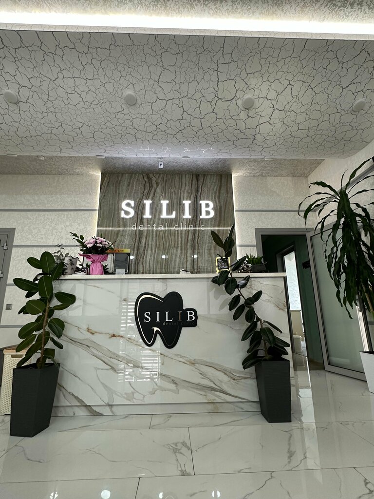 Özel ağız ve diş sağlığı klinikleri ve muayenehaneleri Silib, Makhachkala, foto