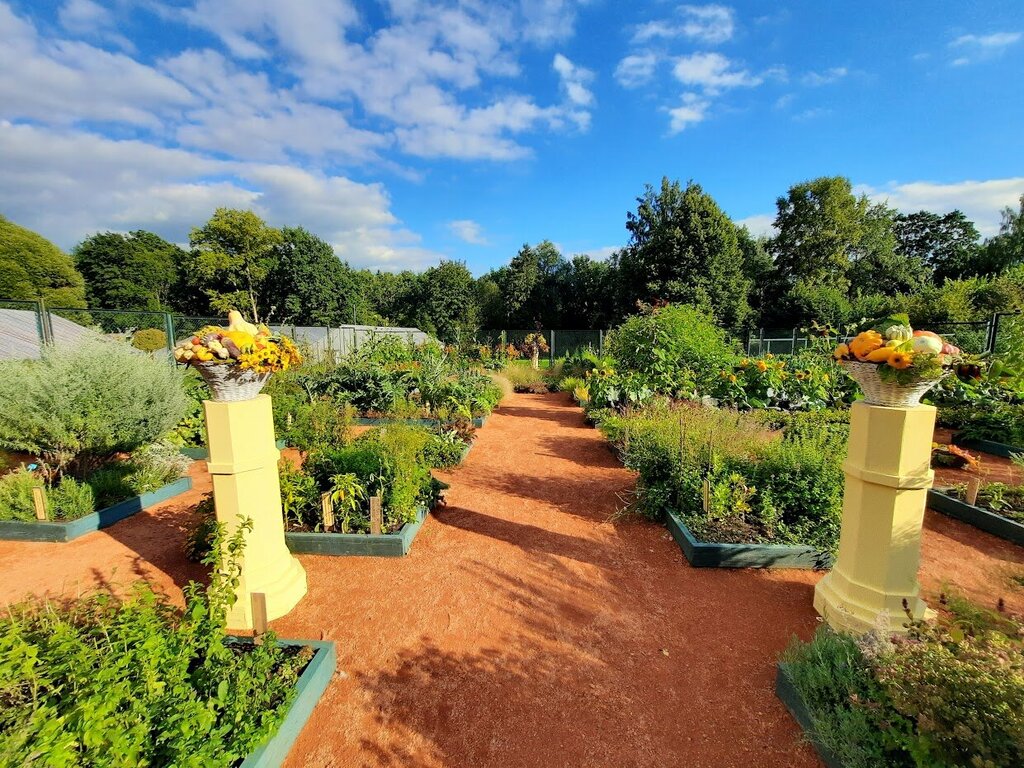Turistik yerler Садоводство Боде, Pavlovsk, foto