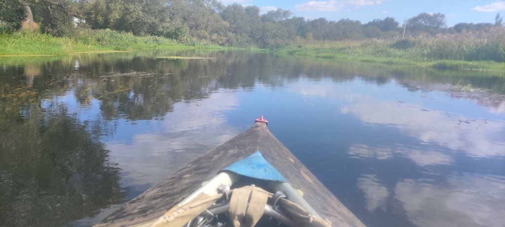 Orman Панский берег, Minskaya oblastı, foto