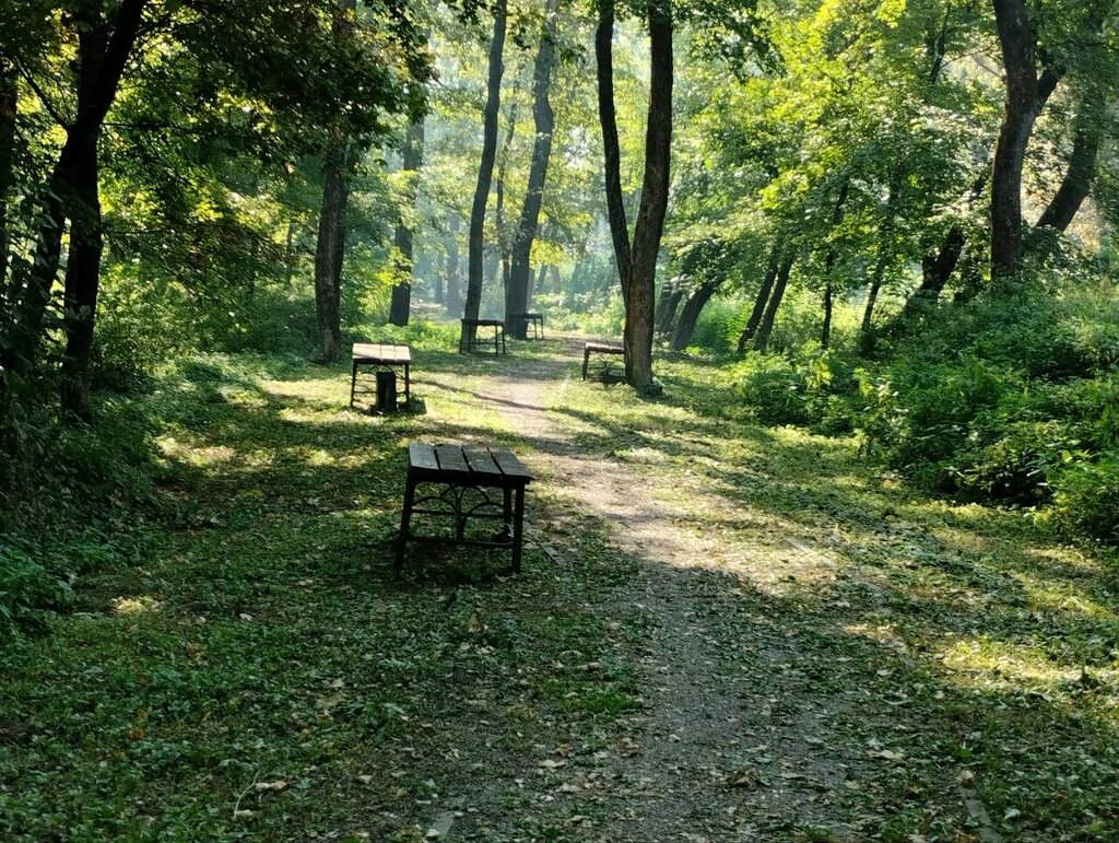 Orman урочище Монастырское, Belgorodskaya oblastı, foto