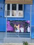 Четыре лапки (Uralskaya Street No:75к2), evcil hayvan kuaförleri  Krasnodar'dan