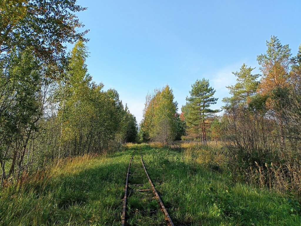 Yük istasyonu остановочный пункт 6-й пост, Novgorodskaya oblastı, foto