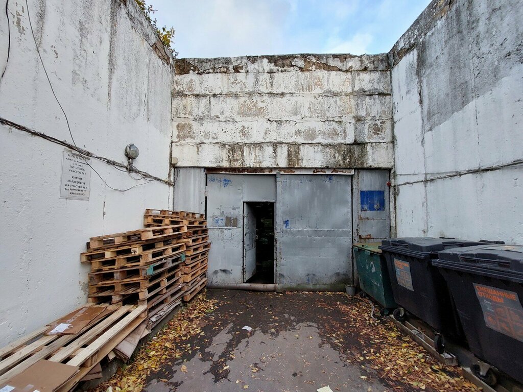 Çocuk oyunları ve oyuncakları TNG Igrushki, Moskova, foto