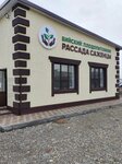 Krestyanskoye khozyaystvo Biysky plodopitomnik (Lugovaya ulitsa No:99Ак1), tohum satan yerler  Biysk'ten
