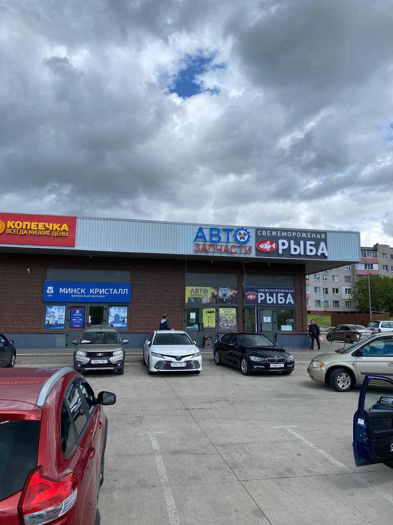 Otomobil yedek parçaları Ka4ina N, Zaslavl, foto