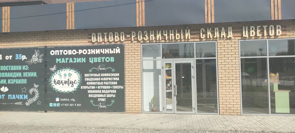 Çiçekçiler Кактус, Volgograd, foto