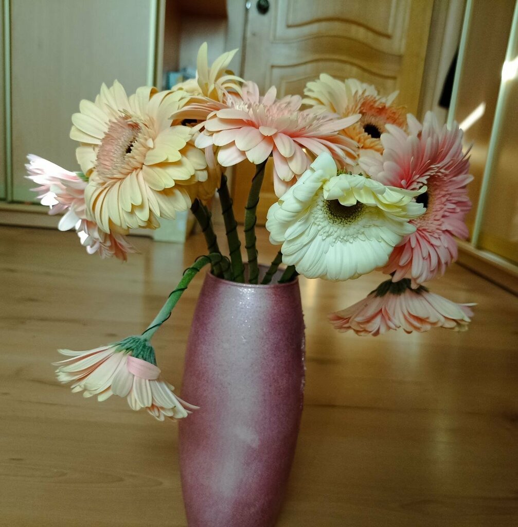 Çiçekçiler Цветыш.рф, Moskova, foto