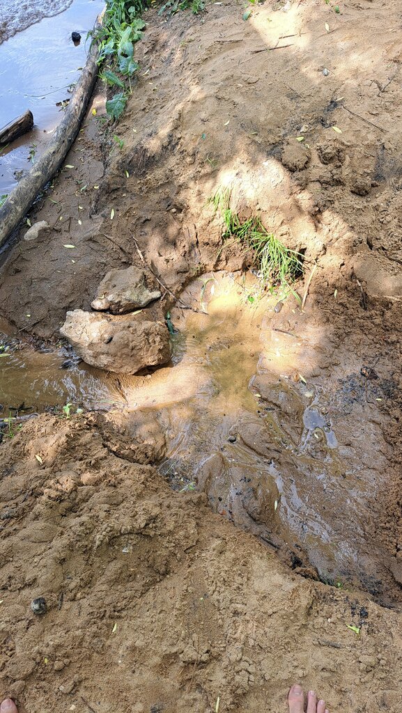 Pınar, çay Spring, stream, Moskova, foto