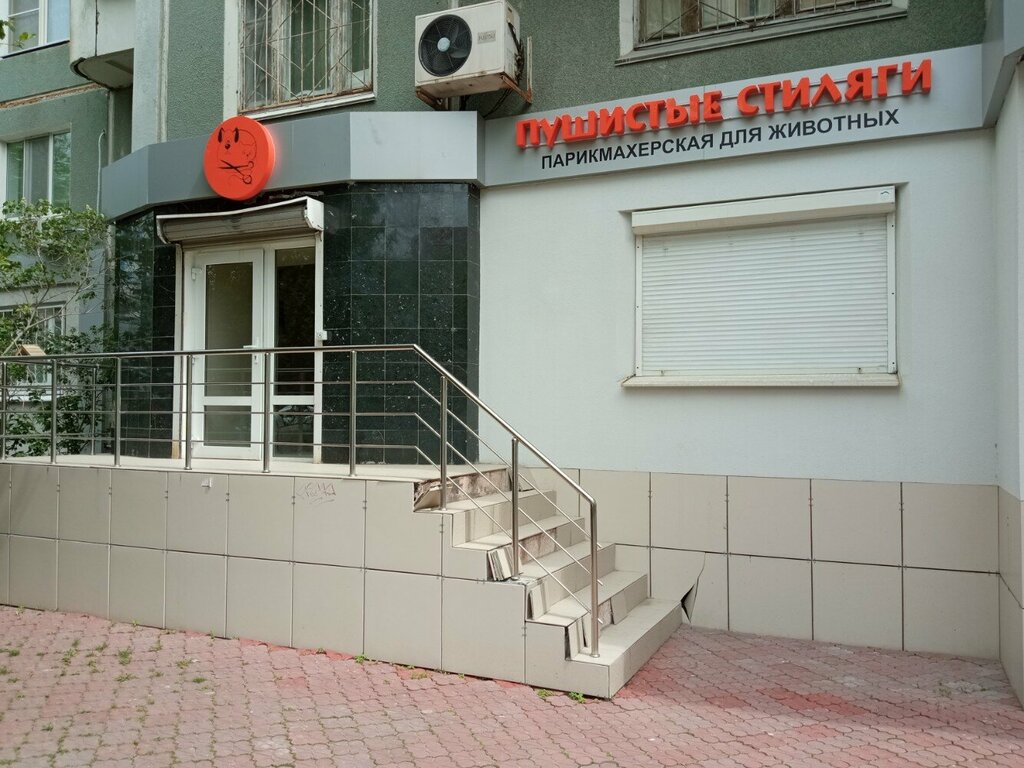 Evcil hayvan kuaförleri Пушистые стиляги, Yekaterinburg, foto