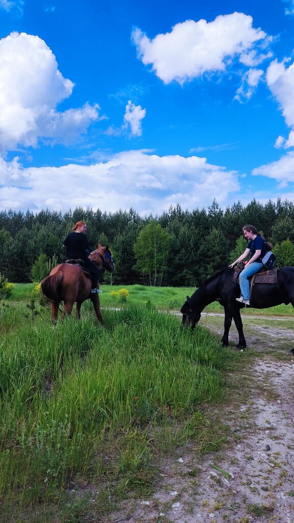 Çiftlik tatili Мыльное ранчо, Brianskaya oblastı, foto
