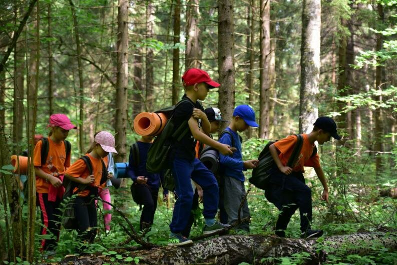 Yaz kampı Лисенок, Moskova ve Moskovskaya oblastı, foto