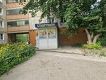 Qiwi (Novator kóshesi No:15), ödeme terminali  Öskemen'den (Ust‑Kamenogorsk'tan)
