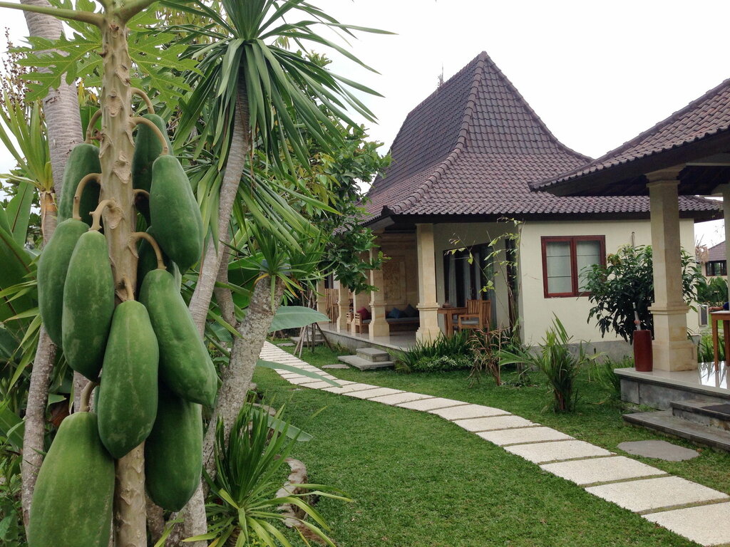 Otel Masia Villa Ubud, Bali, foto