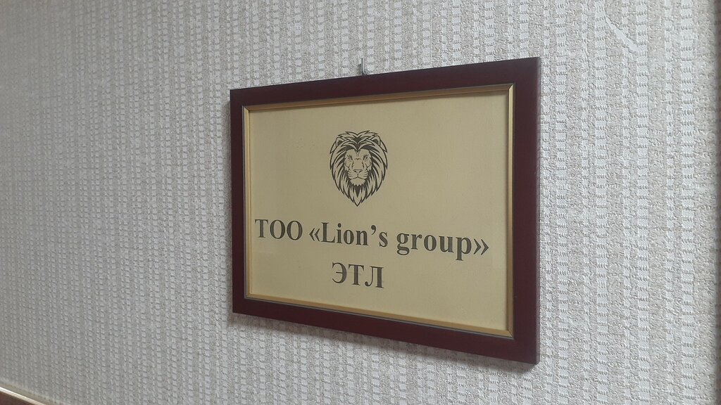Elektrik servisi Lion's group, Astana, foto