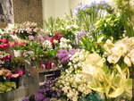 Aubert Fleurs (Neuchâtel, Place de la Gare, 1), çiçek teslimatı  Neuchatel'den