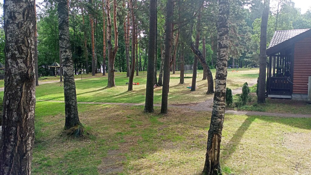 Resort oteller, tesisler Песчаный берег, Saint‑Petersburg ve Leningradskaya oblastı, foto