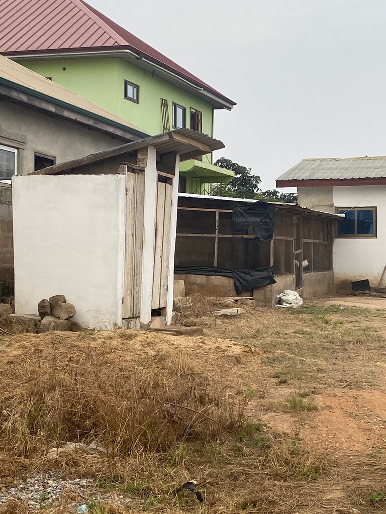 Gıda pazarı Abodie Poultry Farms, Dünya, foto