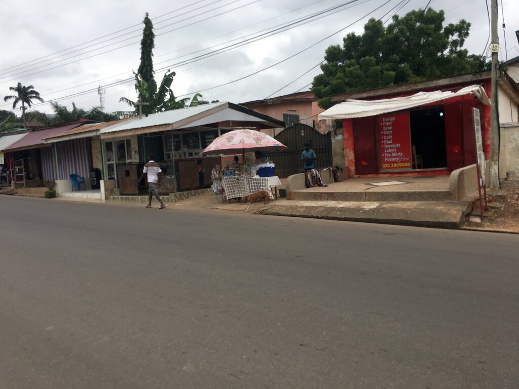 Kantin, yemekhane Coq au vin, Dünya, foto