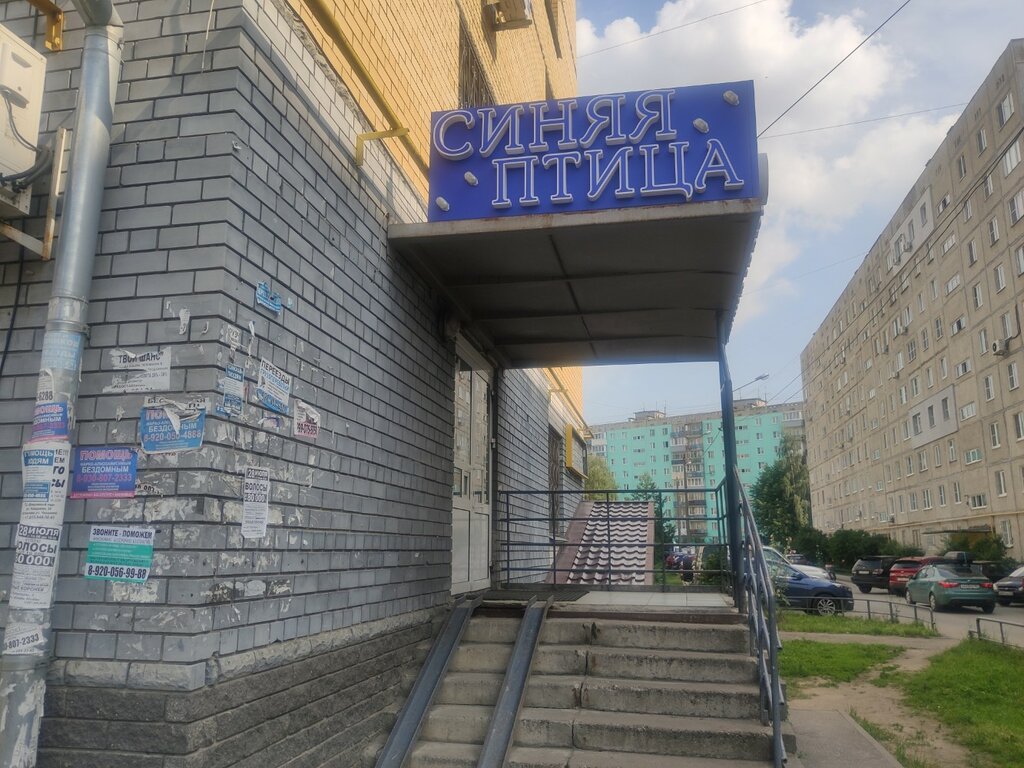 Bira dükkanı Синяя птица, Nijni Novgorod, foto
