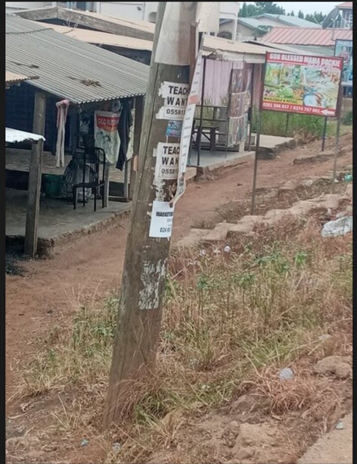 Soğuk hava tesisi God bless mama dorkie coldstore, Dünya, foto