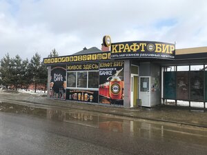 Craft beer (Tambov, Seleznyovskaya ulitsa), bar  Tambov'dan