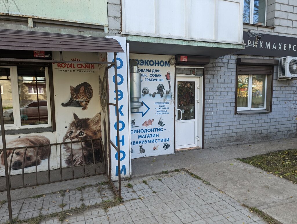 Petshop Синодонтис, Irkutsk, foto