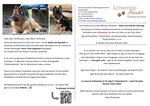 Schempp Handel Ug (Baden-Württemberg, Rems-Murr-Kreis, Kirchberg an der Murr, Buchenweg, 9), petshop  Baden‑Wurttemberg'den