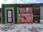 Цветы (ulitsa V. Vysotskogo No:44), çiçekçiler  Novosibirsk'ten