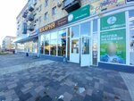 Craspedia (Marshala Zhukova Avenue No:169), çiçekçiler  Volgograd'dan
