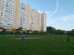 Футбольное поле (Moscow Region, Podolsk, Yubileyniy Microdistrict, 2nd Microdistrict), spor alanı  Podolsk'tan