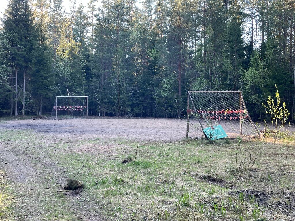 Spor alanı Футбольное поле, Saint‑Petersburg ve Leningradskaya oblastı, foto