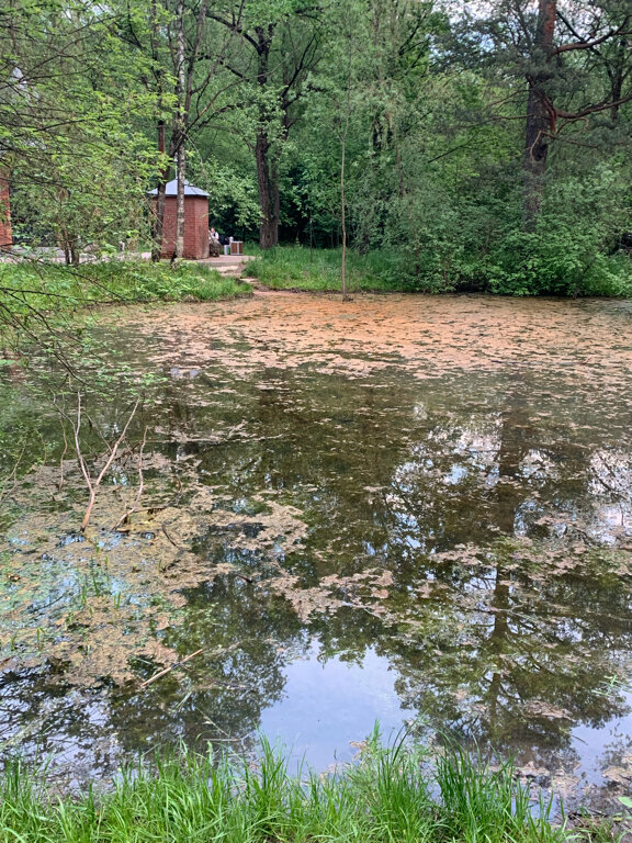 Pınar, çay Spring, stream, Moskova, foto