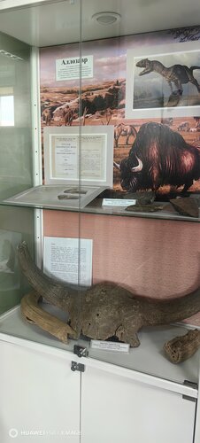 Müzeler ve sanat galerileri Петровск-Забайкальский историко-краеведческий музей, Petrovsk‑Zabaykalski, foto
