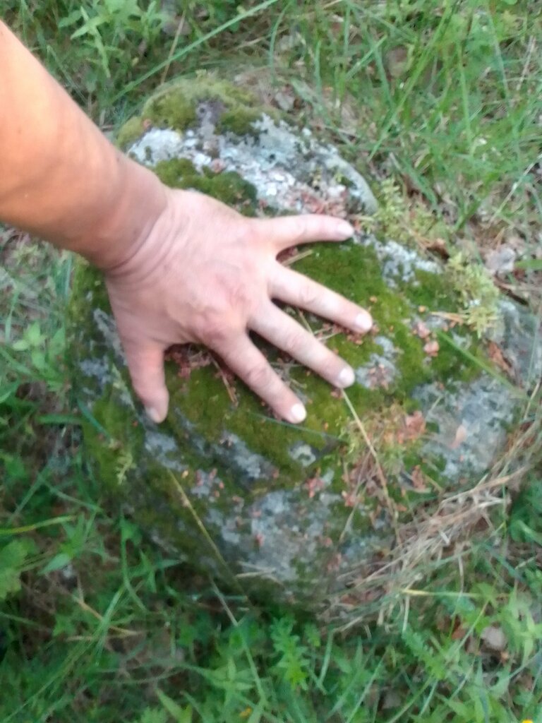 Doğa Ильюхин камень, Saint‑Petersburg ve Leningradskaya oblastı, foto