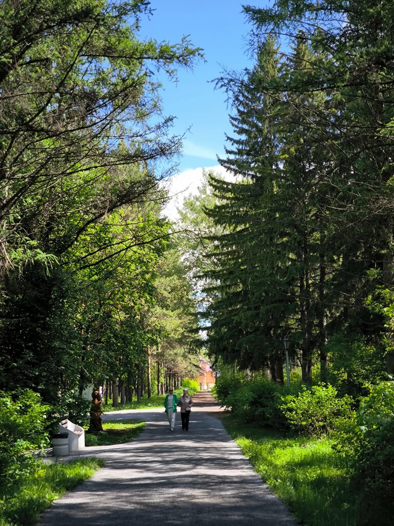 Kültür ve eğlence parkları Дендропарк, Novosibirsk, foto